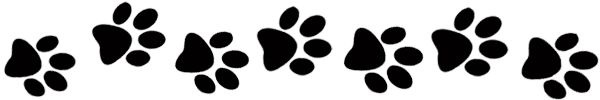 Home - Laurentian Hills Animal Hospital